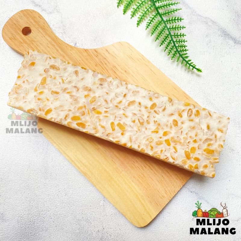 Jual TEMPE KEDELAI MALANG 1 LONJOR MURAH SEGAR | Pengiriman Instan ...