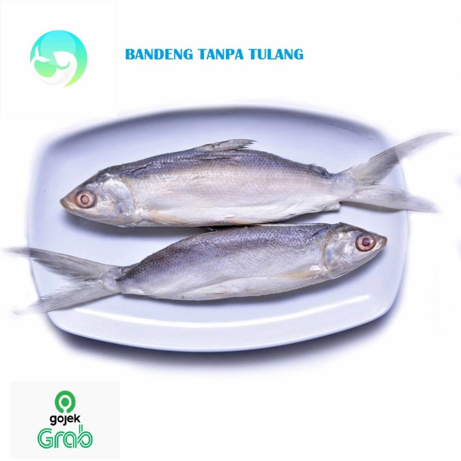 Jual Bandeng Tanpa Tulang 1kg | 1 kg | Shopee Indonesia