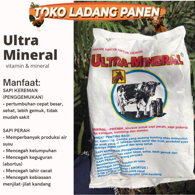 Jual ULTRA MINERAL UTK SAPI, KAMBING, DOMBA | Shopee Indonesia