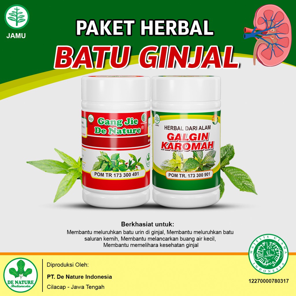 Jual Obat Batu Ginjal Obat Peluruh Batu Empedu Batu Ginjal Prostat Batu ...