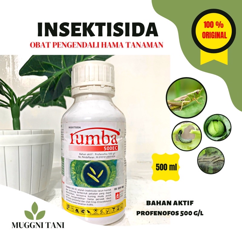 Jual RUMBA 500 EC 500 ML - INSEKTISIDA OBAT PEMBASMI HAMA TANAMAN KUTU ...