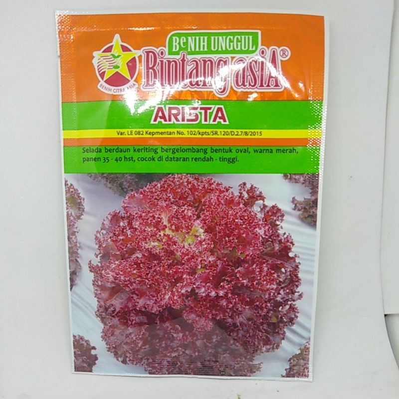 Jual Benih Selada Merah Red Lettuce ARISTA Cap Bintang Asia Kemasan ...