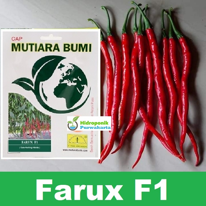 Jual Benih Cabe Cabai Keriting Hibrida Farux F1 Cap Mutiara Bumi Isi ...
