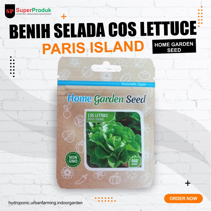 Jual Benih selada/Cos Lettuce/ Selada Romaine paris island | Shopee ...