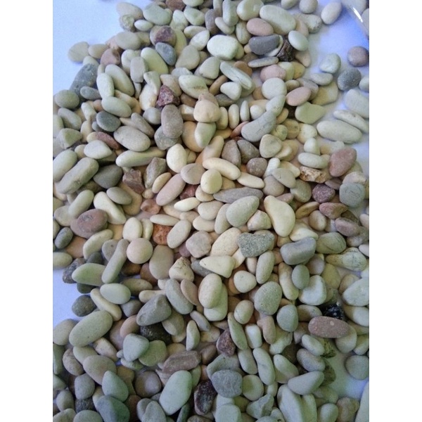 Jual BATU KRIKIL PANCAWARNA MEDIA HIAS BATU KRIKIL AKUARIUM AQUASCAPE ...