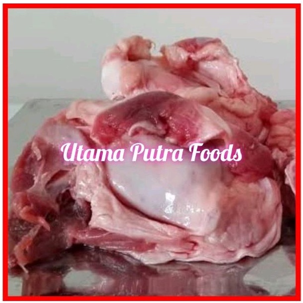 Jual Daging Tulang Dengkul Sapi/Beef Patella 1kg | Shopee Indonesia