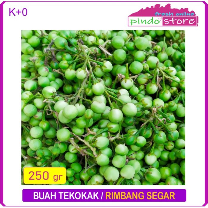 Jual BUAH RIMBANG / BUAH TEKOKAK SEGAR 250 GRAM | Shopee Indonesia
