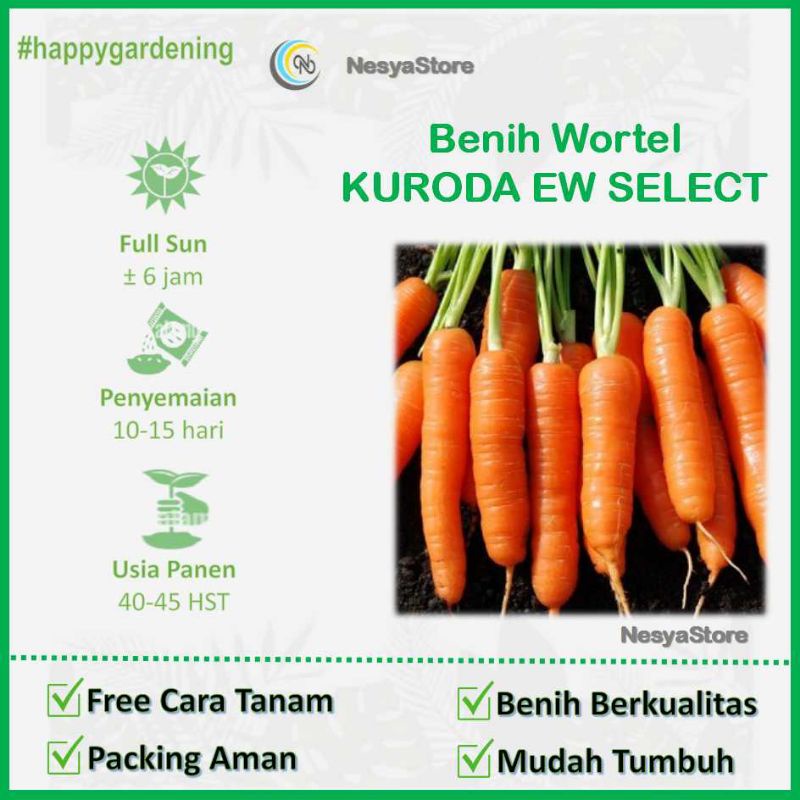 Jual 100 Benih Wortel Kuroda- Bibit Benih Sayur Sayuran | Shopee Indonesia