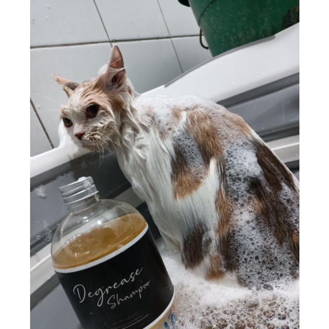 Jual degreaser pet shampoo by neko | Shopee Indonesia