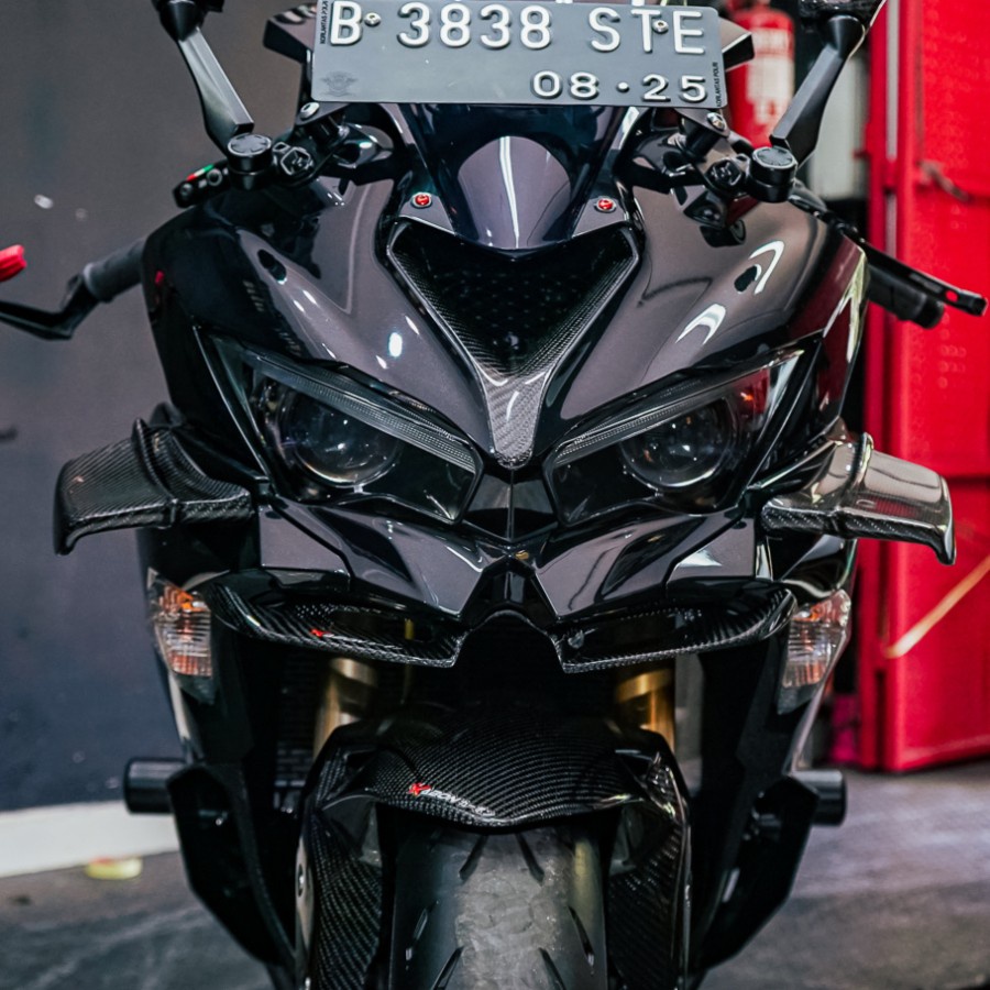 Jual KABON KAWASAKI ZX25R ZX4RR SIDE WINGLET CARBON MODEL DUCATI ...