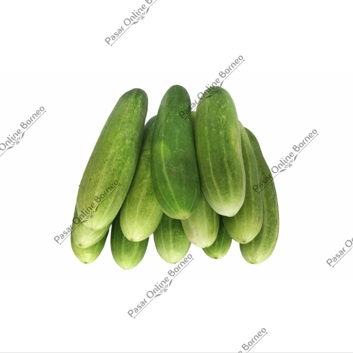 Jual Sayur Segar Timun 1 Kg | Shopee Indonesia
