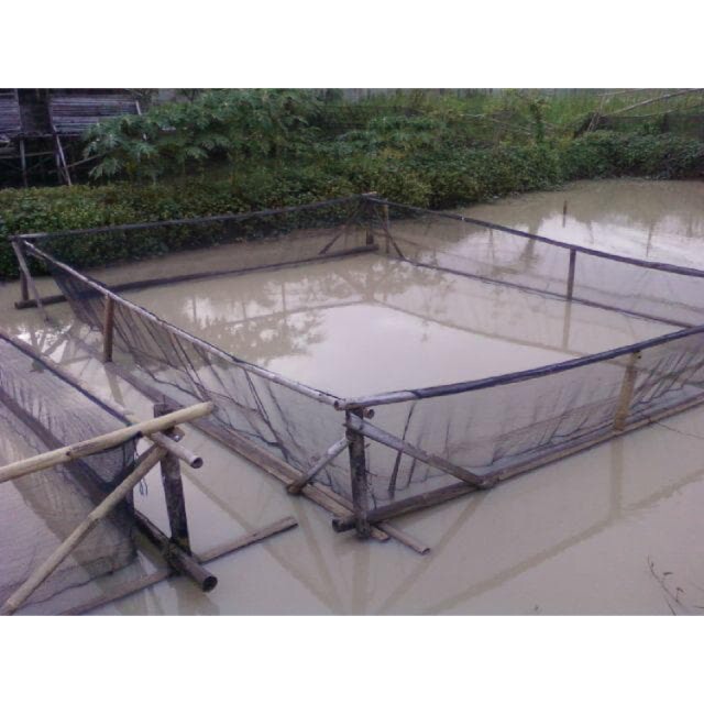 Jual Keramba waring jaring hapa 3m x 3m x 1.2m kolam tambak ikan ...