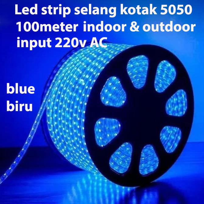 Jual led strip selang kotak biru - blue SMD 5050 220v AC 100meter ...