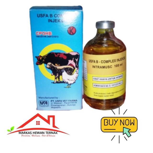 Jual USFA VITAMIN B KOMPLEKS INJEKSI HEWAN TERNAK 100 ML | Shopee Indonesia