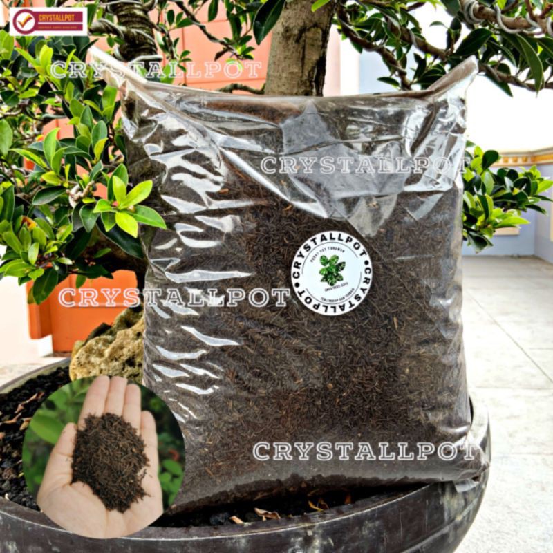 Jual Media tanam pakis oven cacah halus premium 1kg - pakis oven ...