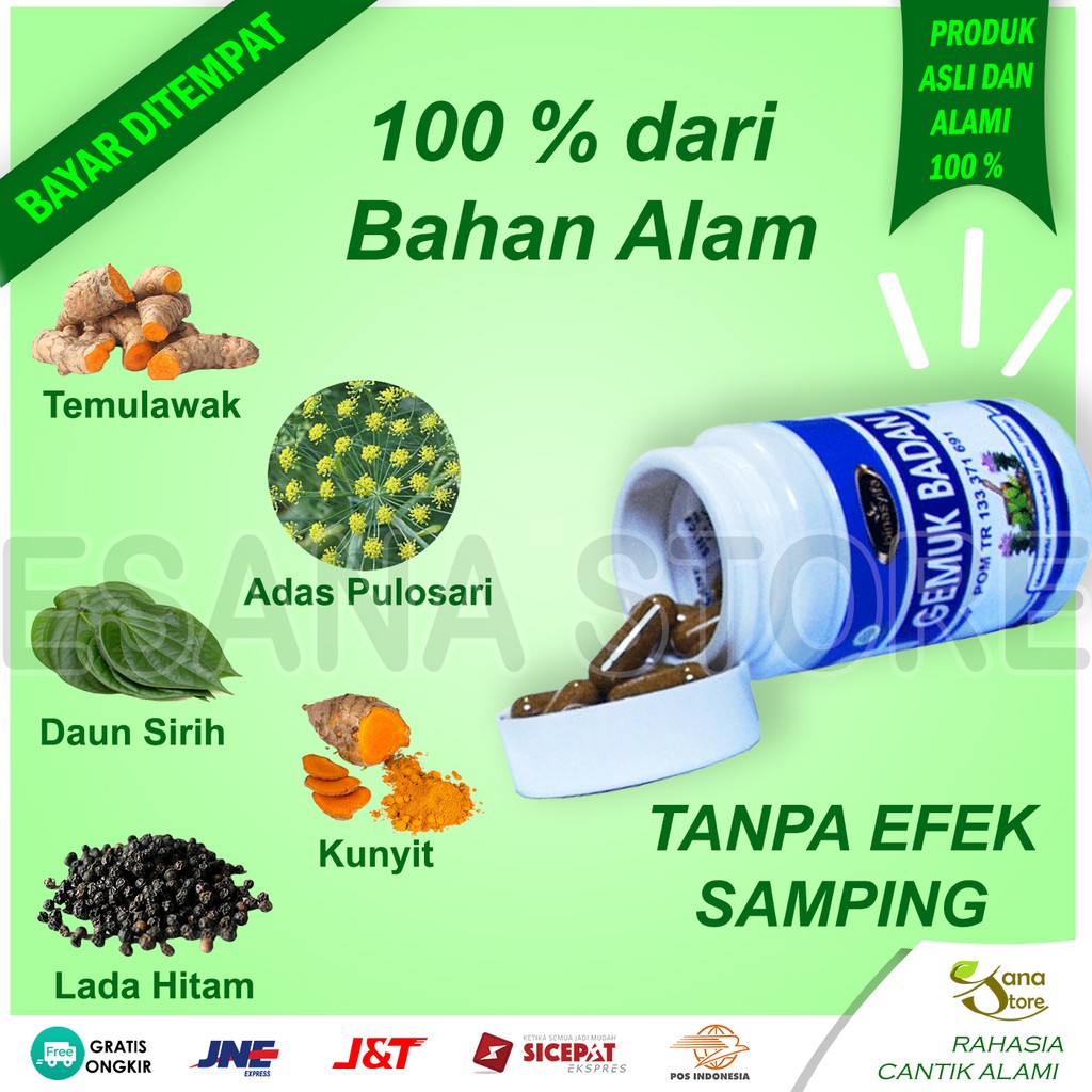 Jual PENGEMUK BADAN BINASYIFA KAPSUL GEMUK BADAN BINA SYIFA PENAMBAH ...