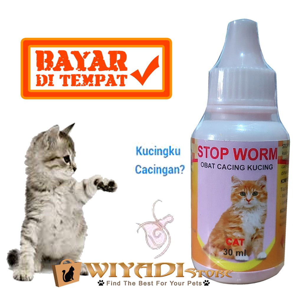 Jual Stop Worm Obat Cacingan Aman Kucing Dan Kitten | Shopee Indonesia