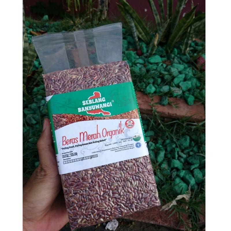 Jual beras merah organik Seblang Banyuwangi Kamasan 1kg | Shopee Indonesia