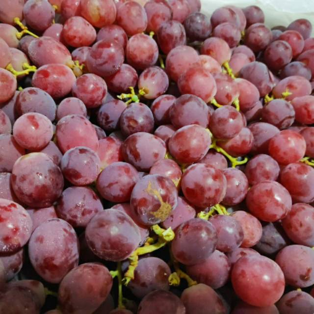 Jual Anggur merah china 500gram | Shopee Indonesia