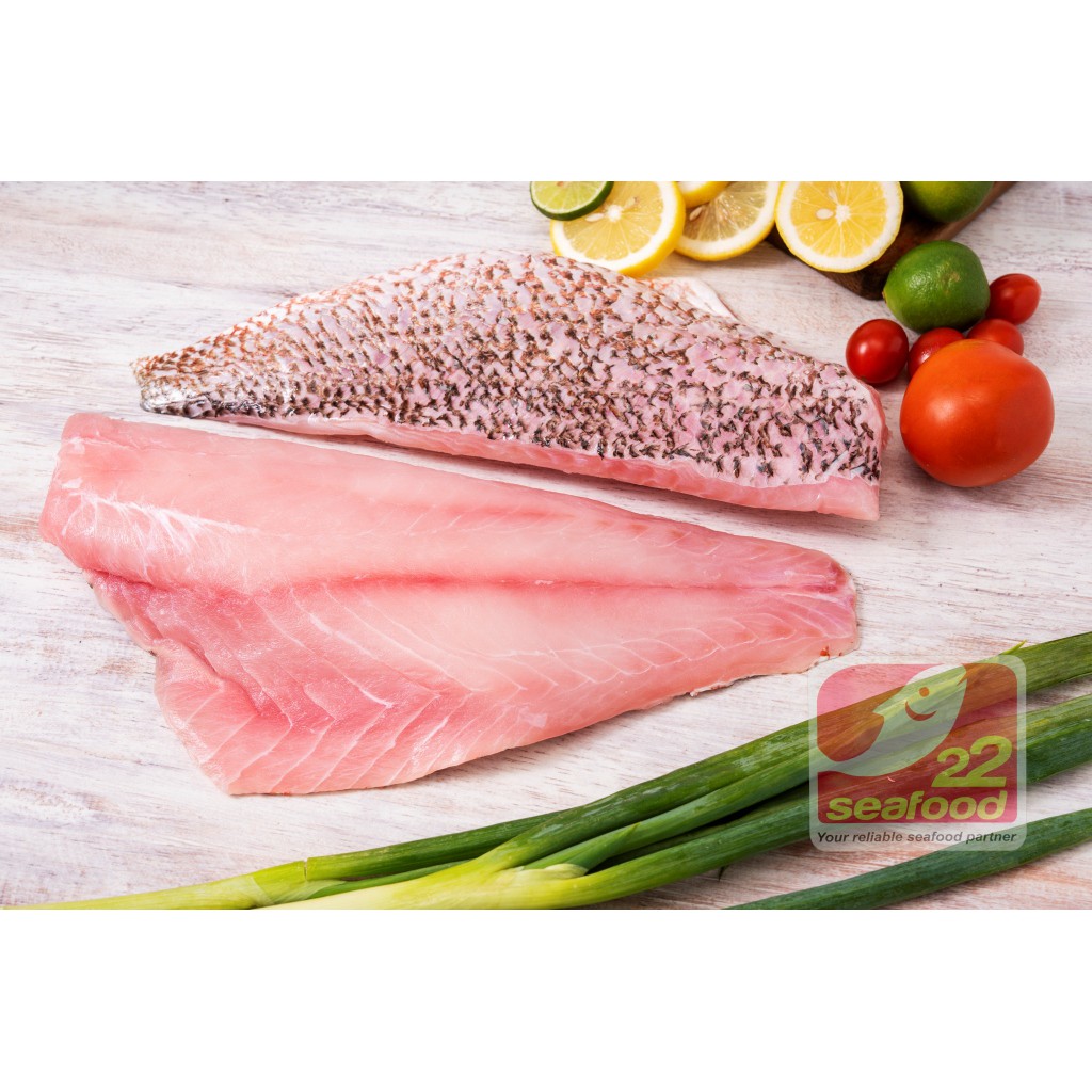 Jual Ikan Kakap Jenaha Fillet 500 Gram / John Snapper / Seafood 22 ...
