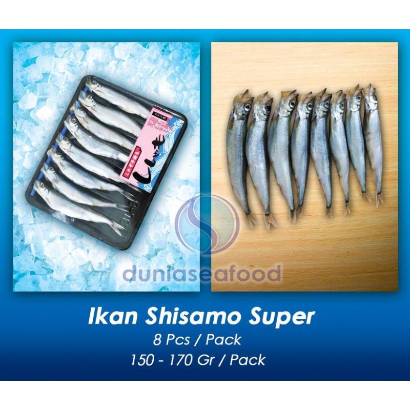 Jual Ikan Shisamo Betina Super 8 pcs/pack 150-170 gram/pack | Shopee ...