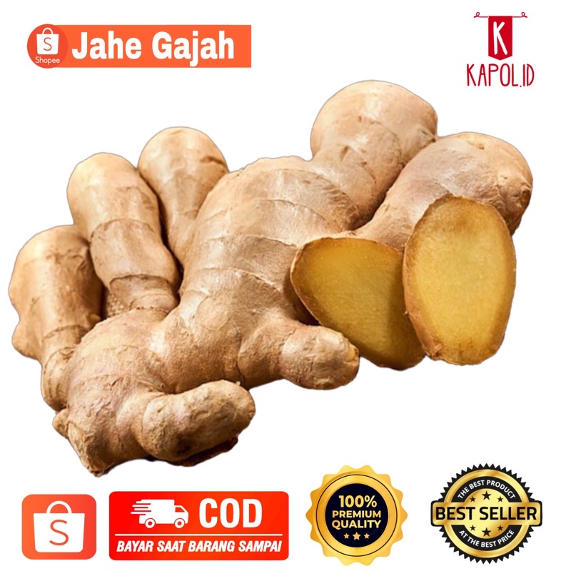 Jual jahe gajah segar jahe putih segar 1kg | Shopee Indonesia