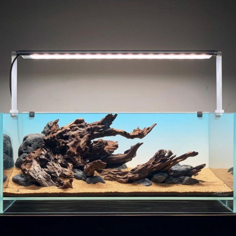 Jual Kayu Rentek Aquascape Paludarium Size L | Shopee Indonesia