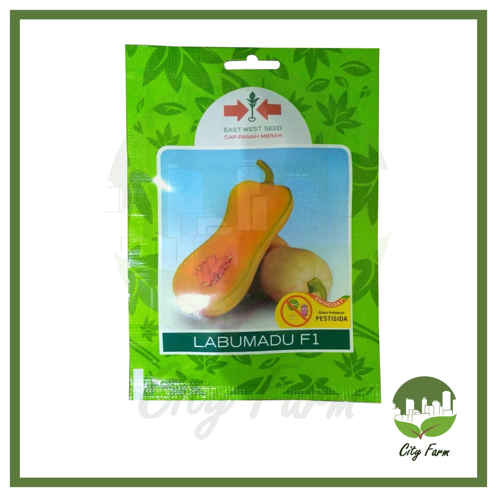 Jual BENIH LABU MADU SP (10 BTR) PANAH MERAH | Shopee Indonesia