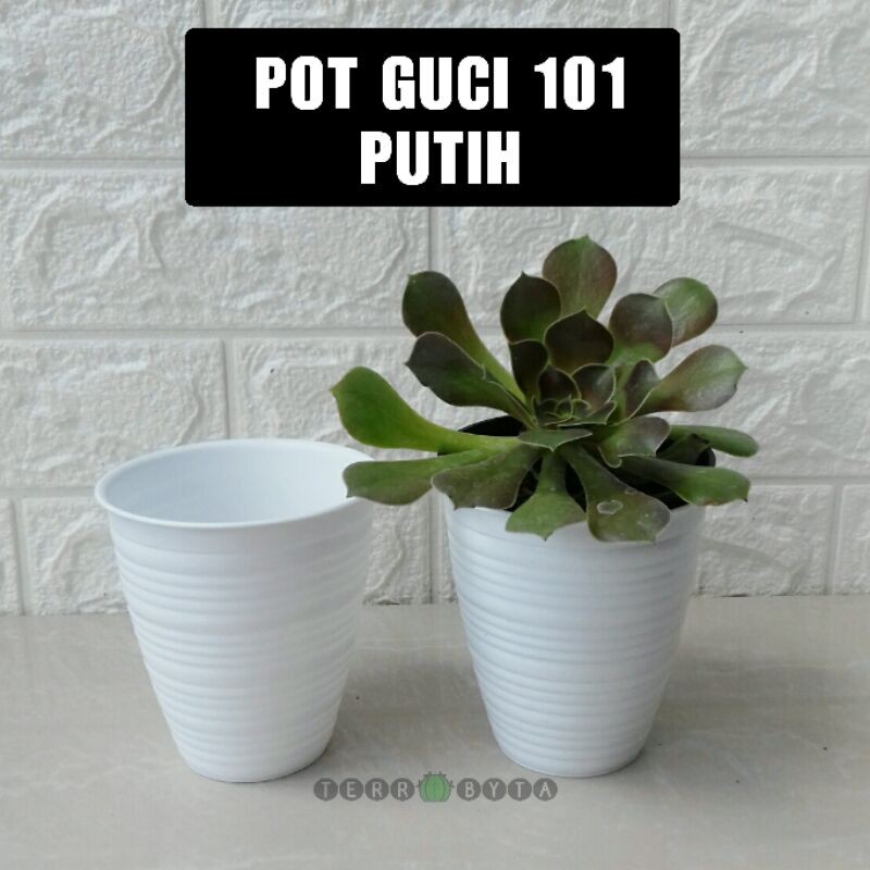 Jual Terrabyta - Pot Guci 101 - Pot Hias Mini Ulir | Shopee Indonesia