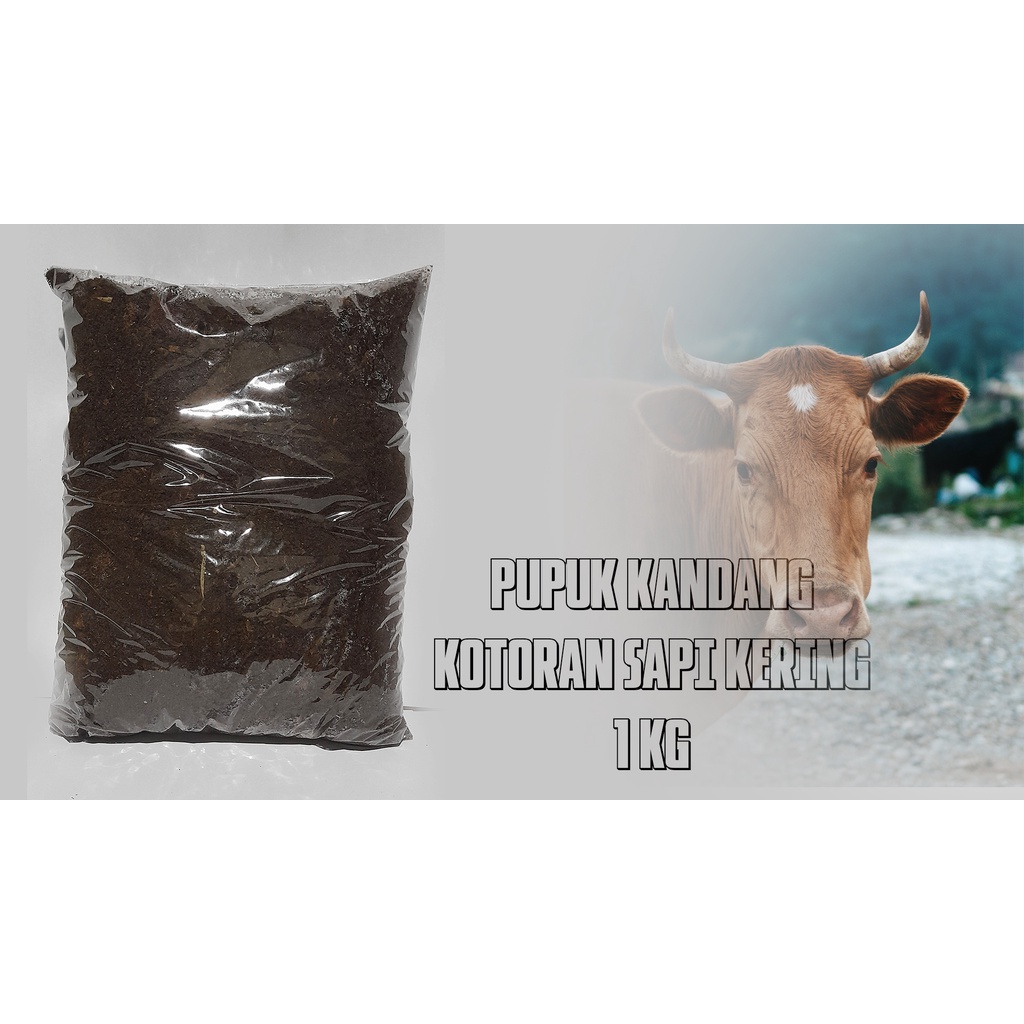 Jual PUPUK KANDANG KOTORAN SAPI | PUPUK KOMPOS |kletong sapi ...