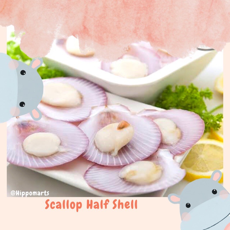Jual Scallop Half Shell / Kerang simping frozen export Quality / Kerang ...