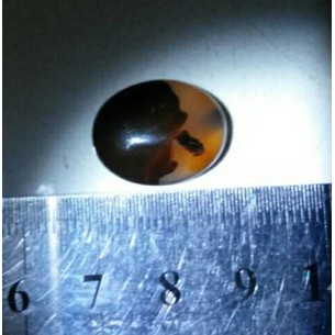 Jual batu cincin yaman motif batik tinggal pasang cincin | Shopee Indonesia