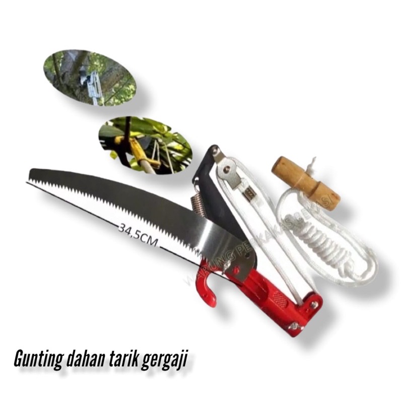 Jual Gunting dahan gergaji tarik multifungsi gergaji kopi cengkeh | Shopee Indonesia