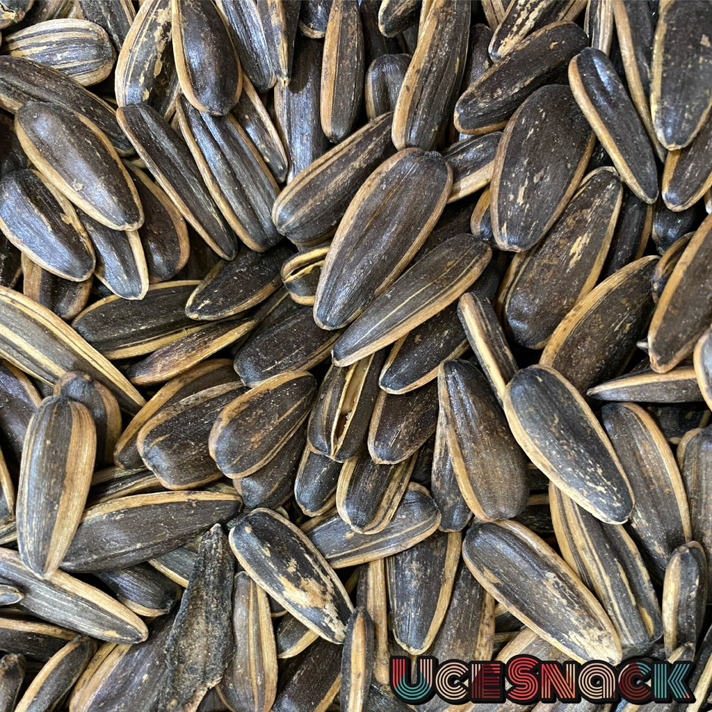 Jual KUACI MATAHARI / KWACI BIJI BUNGA MATAHARI / SUNFLOWER SEED 1/2KG ...