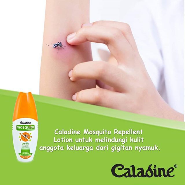 Jual CALADINE MOSQUITO REPELLENT WITH PICARIDINE 100ML | Shopee Indonesia