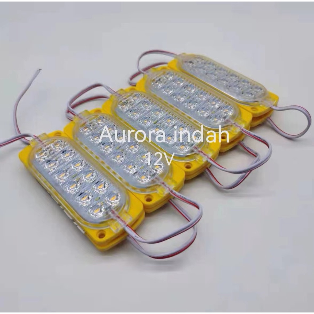 Jual Led Modul Lampu 12 Mata Smd 3030 12 Volt Dan 24 Volt Ultrasonic