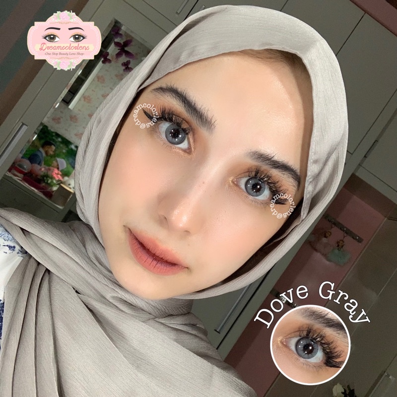 Jual DREAMCOLORLENS Softlens - Dove Gray / Grey / Abu Normal Minus ...