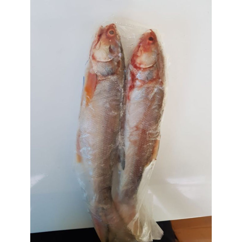 Jual Ikan Senangin Terlengkap & Harga Terbaru Mei 2026 | Shopee Indonesia