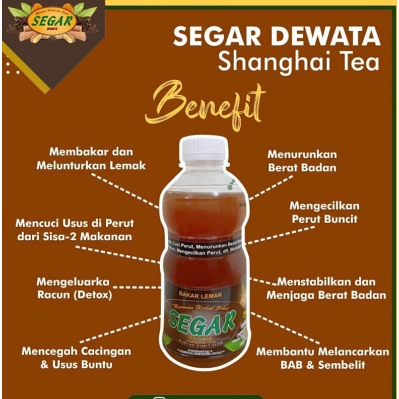 Jual Segar Dewata Shanghai tea | Shopee Indonesia