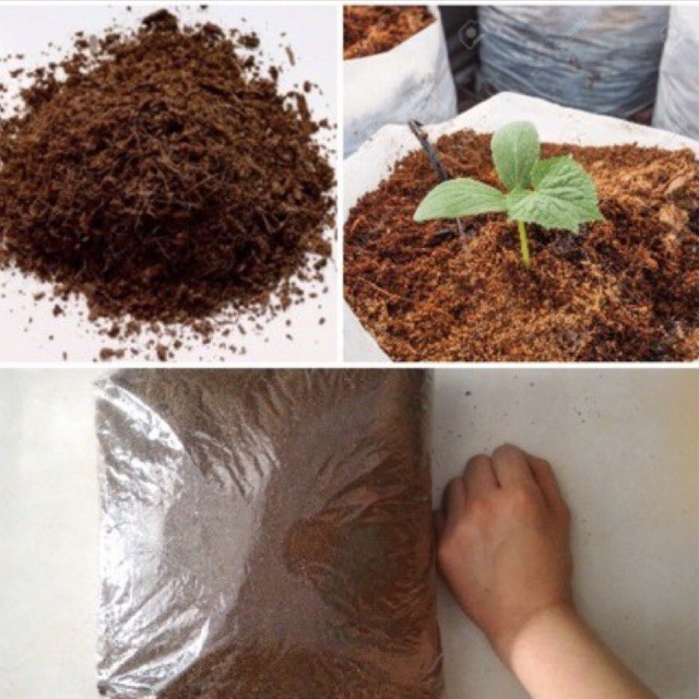 Jual Coco Peat / Cocopeat - Media Tanam 500 gram | Shopee Indonesia