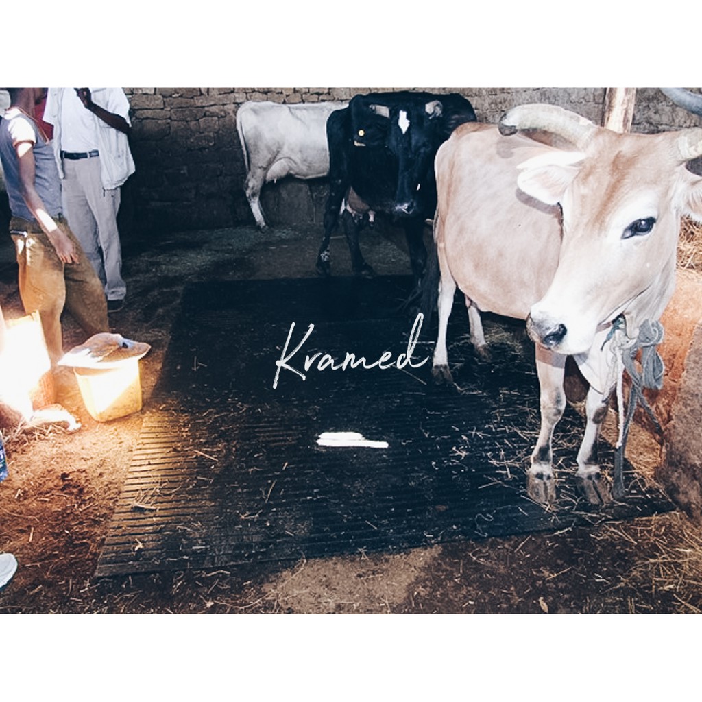 Jual Karpet Karet Sapi Anti Selip Tebal 14mm PLY Serat Benang | Shopee ...