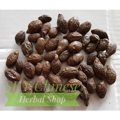Jual Buah Tempayang / Tempoyan / Semangkuk / BengTaHai / AnTeHai ...
