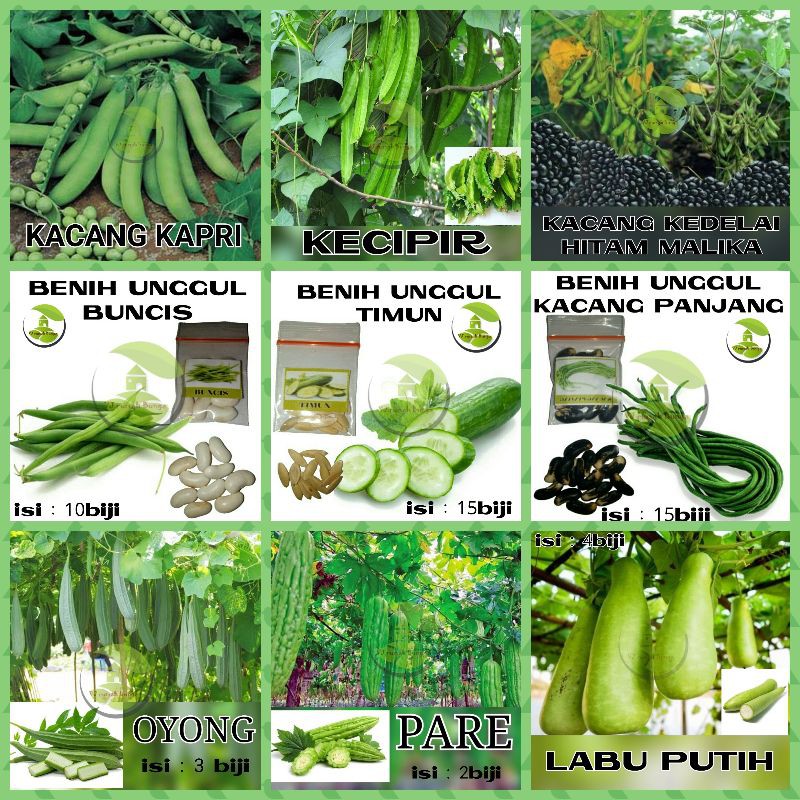 Jual Benih Sayuran Merambat Benih Bibit Labu Gambas Oyong Kacang Kapri ...