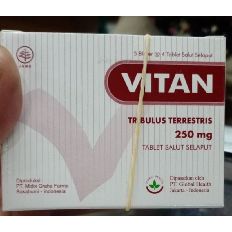 Jual VITAN250MG | Shopee Indonesia