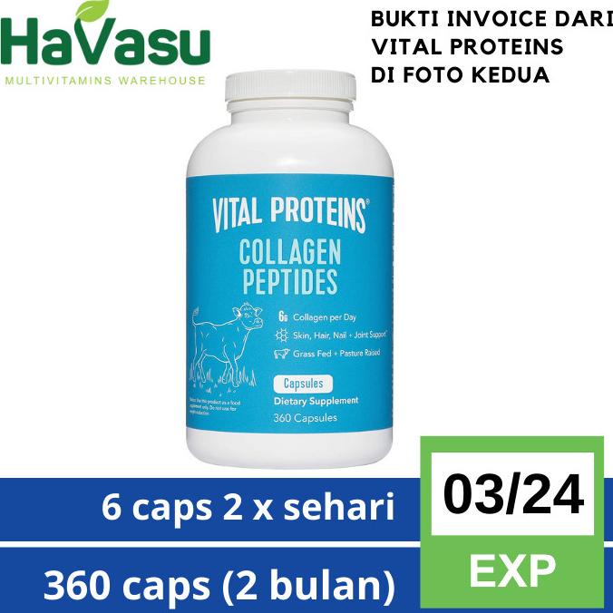 Jual VITAL PROTEINS Collagen Peptides Unflavored 5oz & 10oz with HA ...