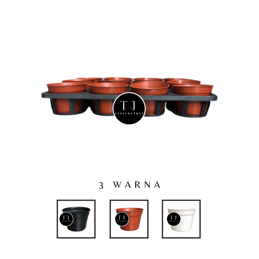 Jual (PAKET HEMAT) 1 Set Tray Isi 12 Lubang + Pot Bulat Polos Uk 10cm ...