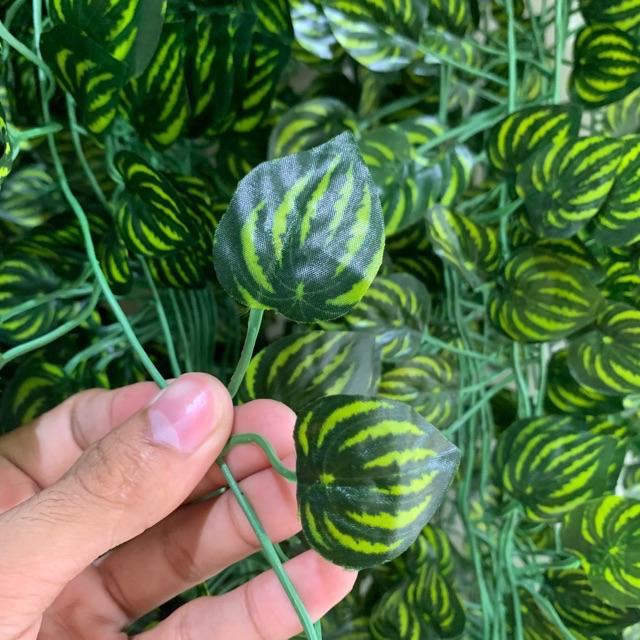 Jual DAUN RAMBAT SEMANGKA KECIL - BUNGA ARTIFICIAL - DAUN RAMBAT ...