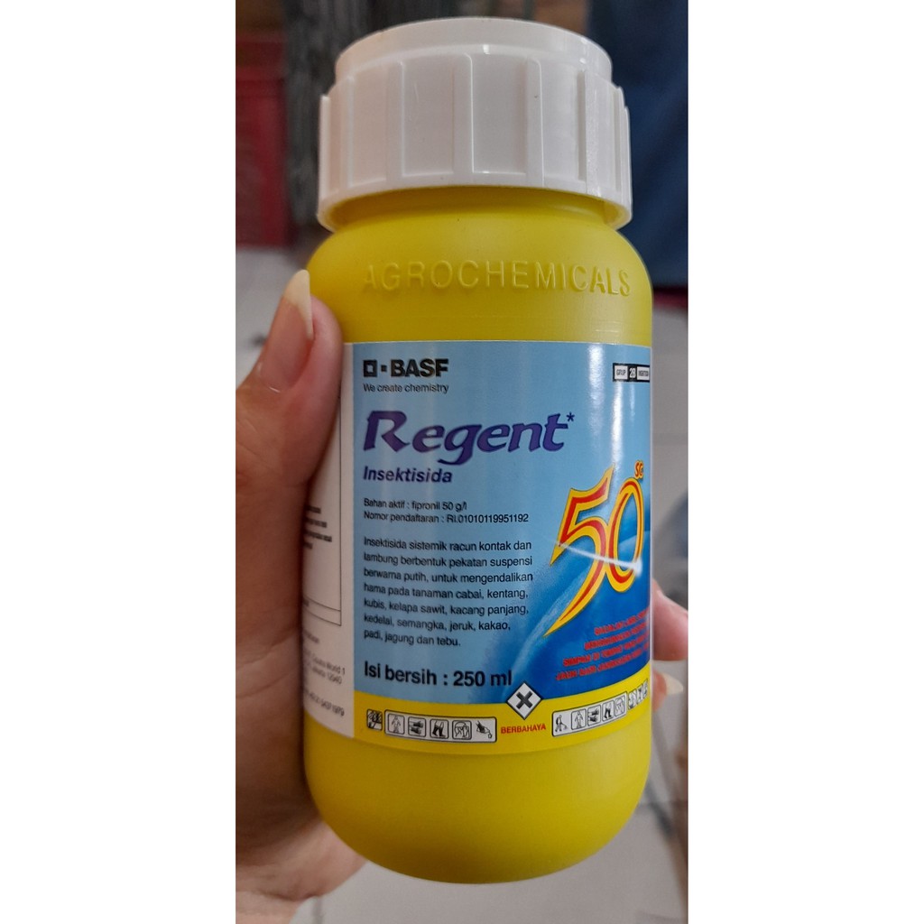 Jual Regent cair 250ml | Shopee Indonesia