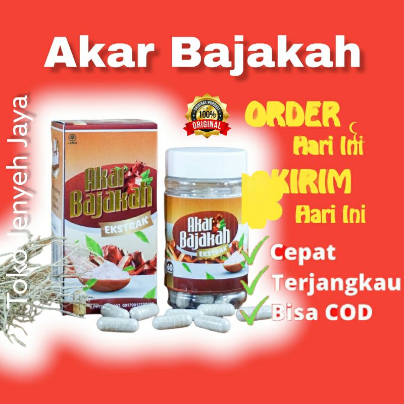 Jual Kapsul Bajakah / Kapsul Akar Bajakah Ekstrak Bajakah Serbuk ...