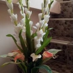 Jual Bunga Sedap Malam 1 Ikat (10 Tangkai) | Shopee Indonesia